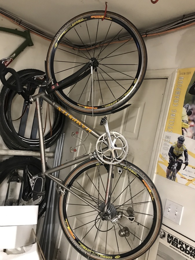 Hampsten Cycles Cinghiale