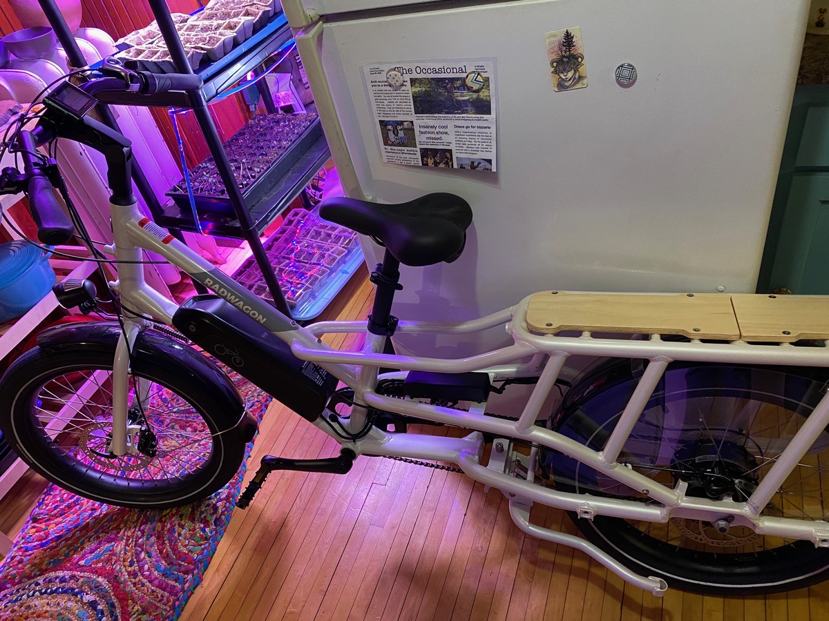 2021 Rad Power Bikes RadWagon 4