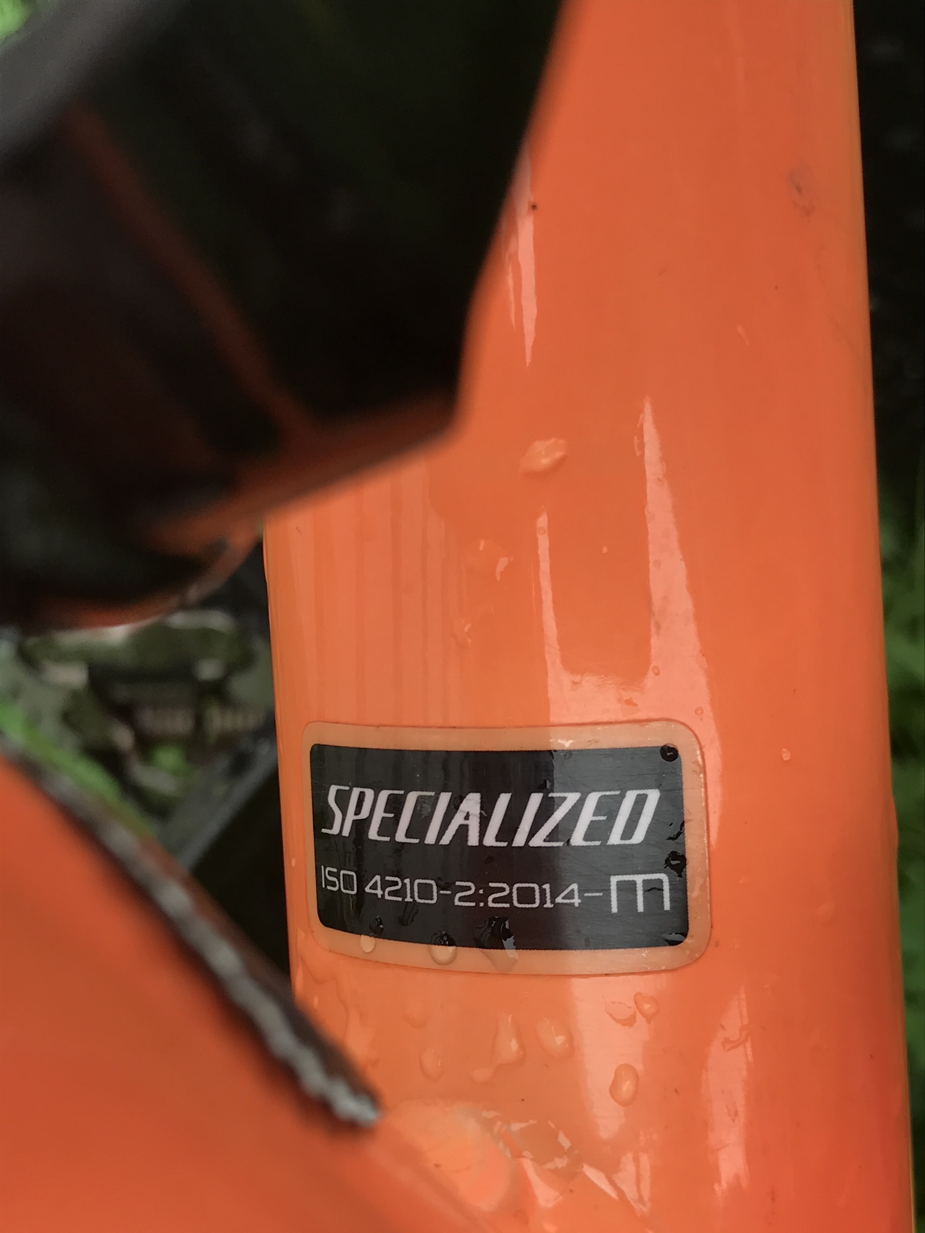 2019 Specialized Chisel