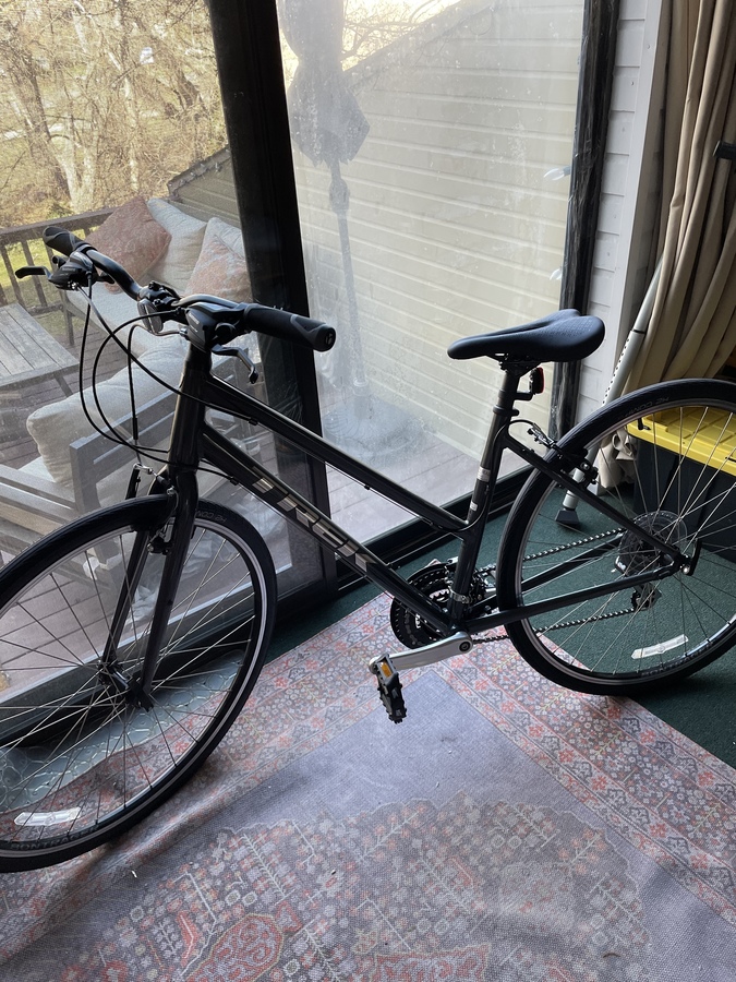 2021 Trek FX 1 Stagger