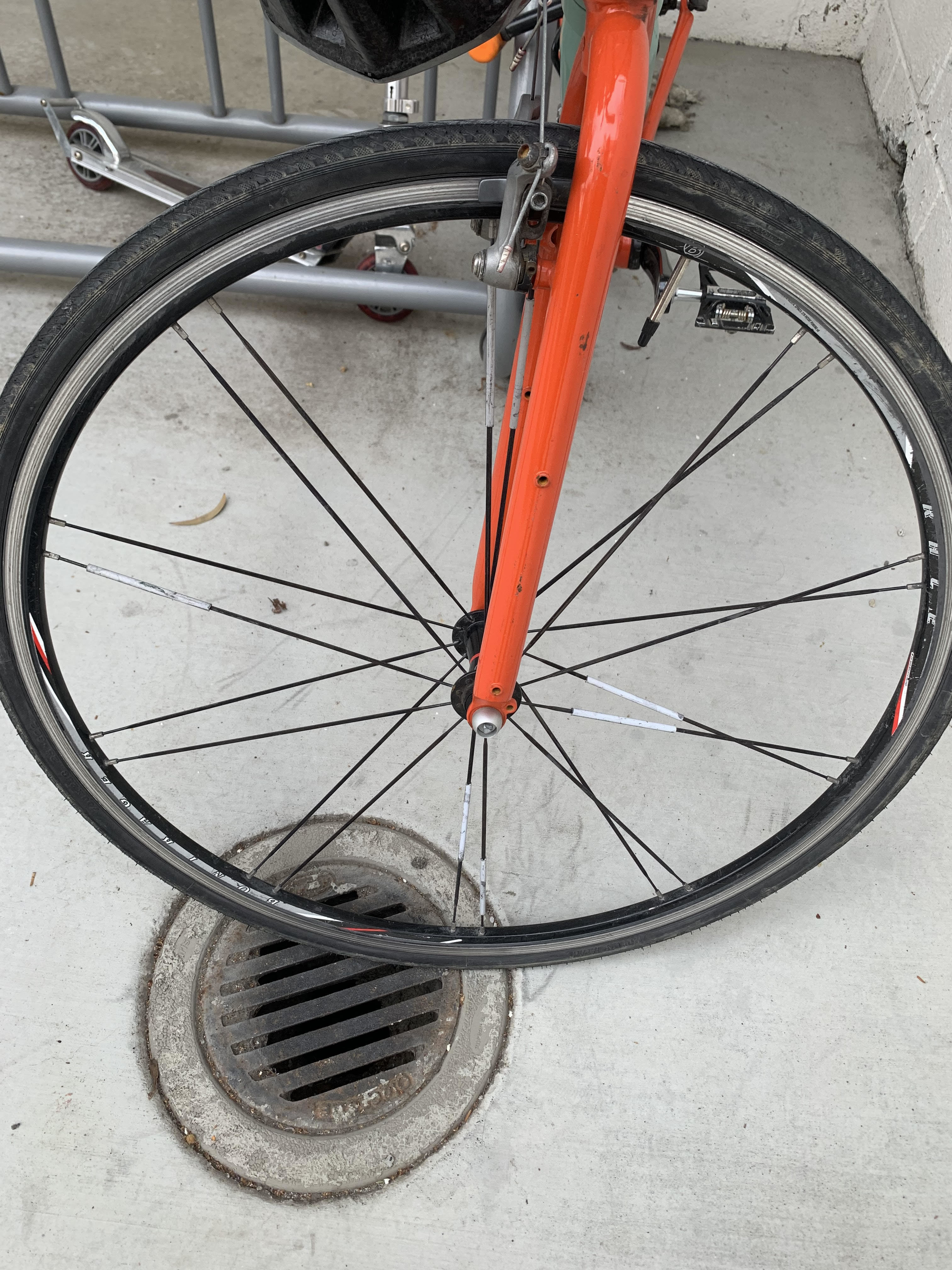 2003 Kona jake the snake