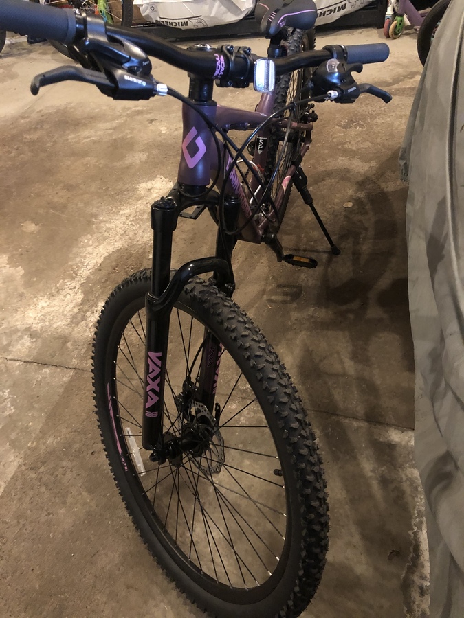 2021 Diamondback Ridgeback