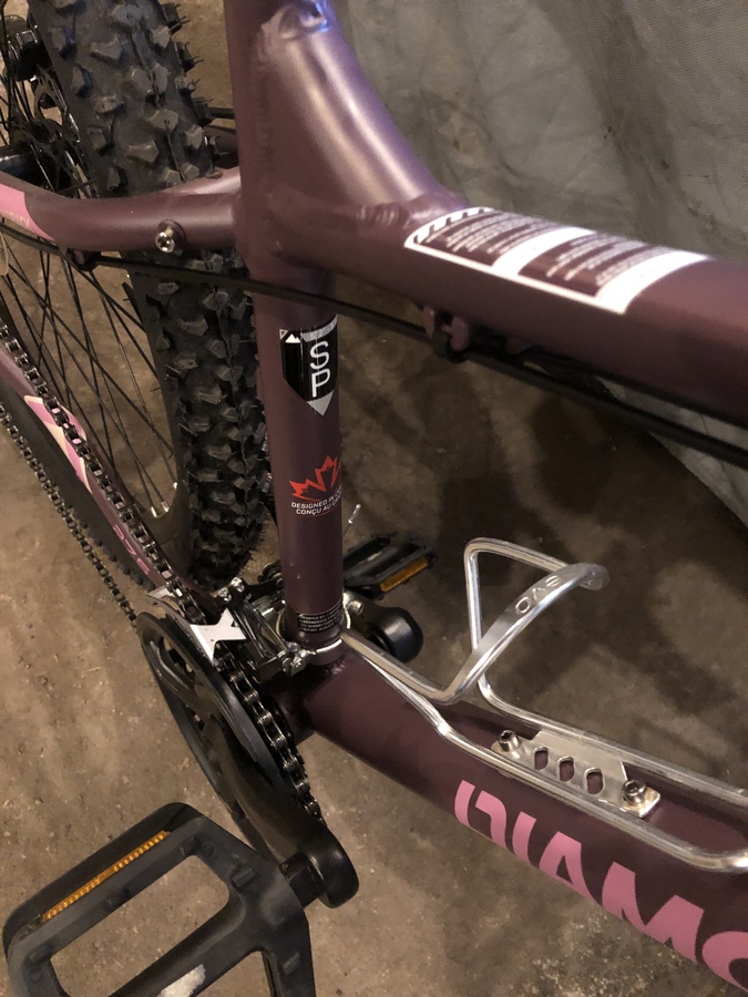 2021 Diamondback Ridgeback