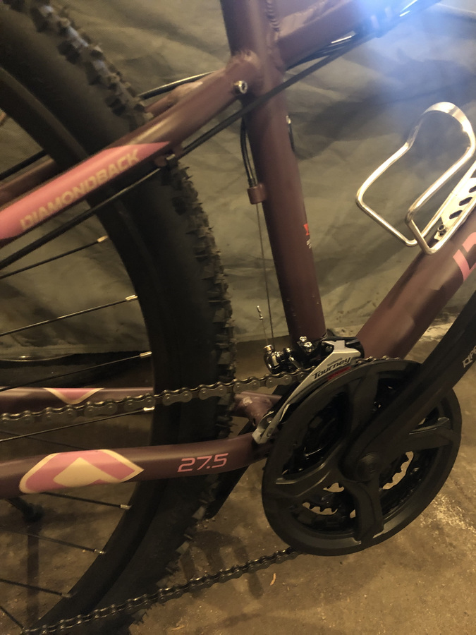 2021 Diamondback Ridgeback