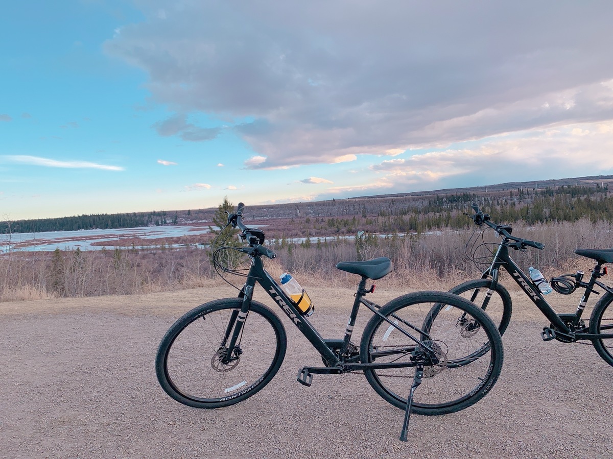 2020 Trek Verve disc 2 low step