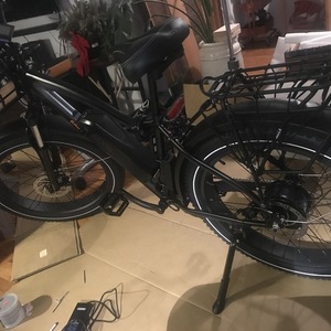 2021 Rad Power Bikes Rad Rover