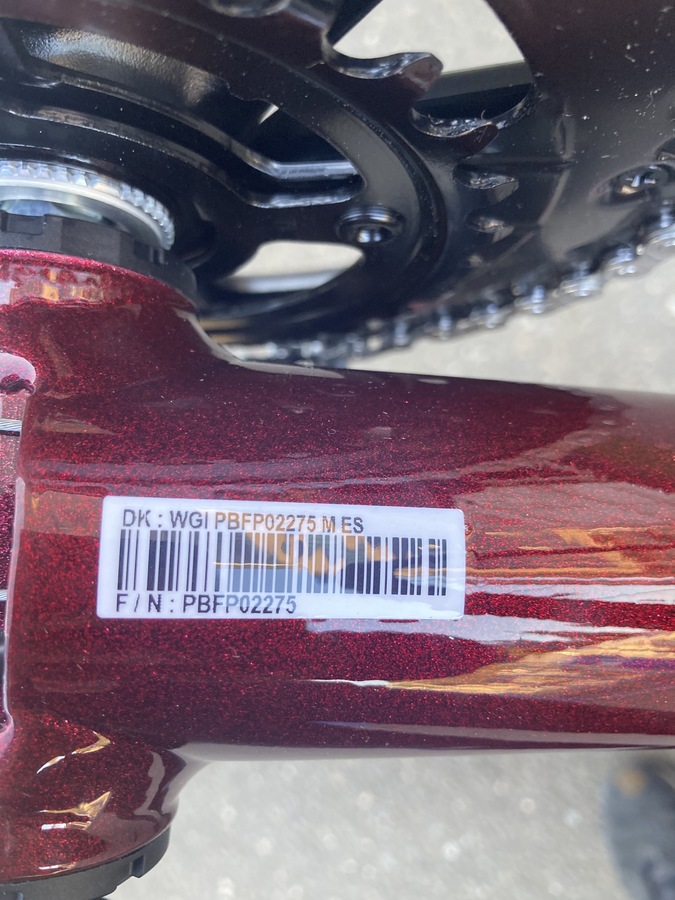 2021 Giant Escape Disc 2