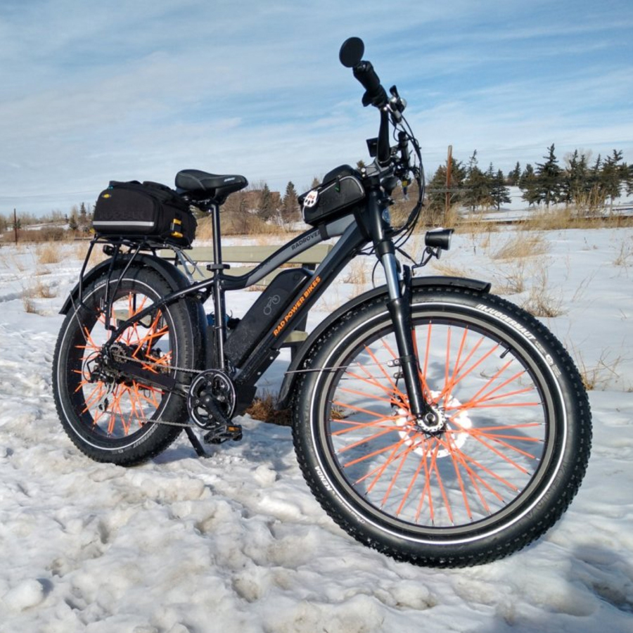 2020 Rad Power Bikes Rad Rover High Step