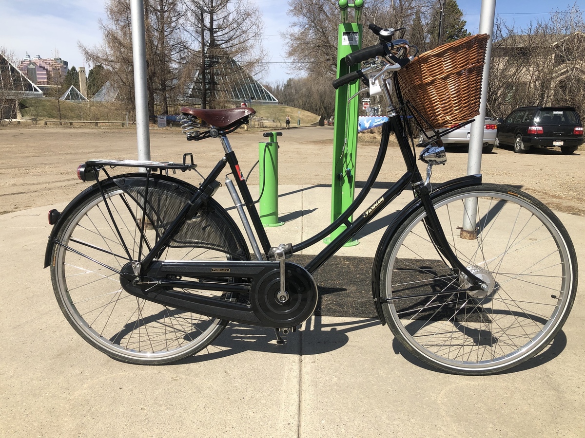 2010 Pashley Cycles Princess Sovereign
