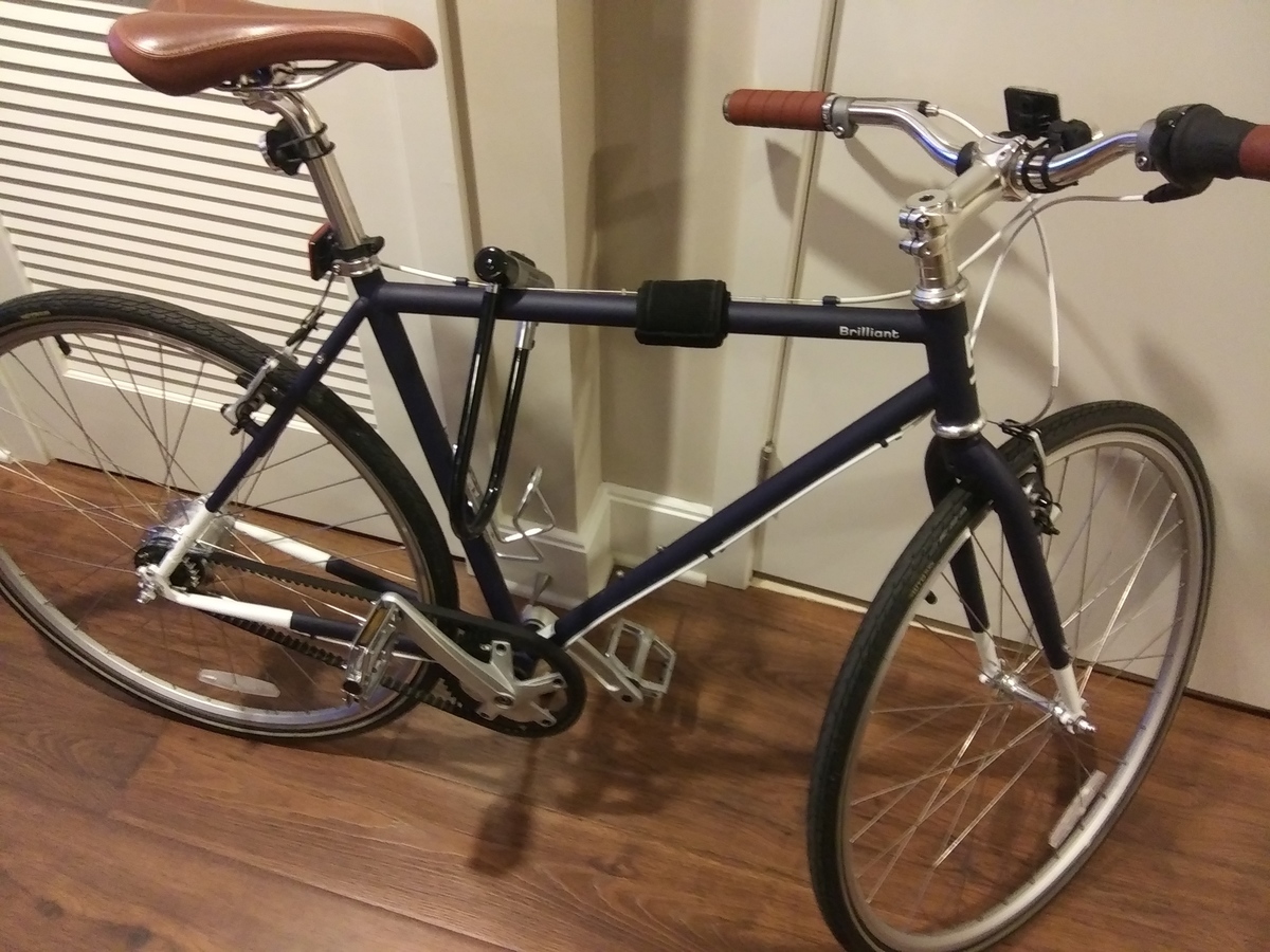 Stolen 2020 Priority Bicycles Brilliant L-Train
