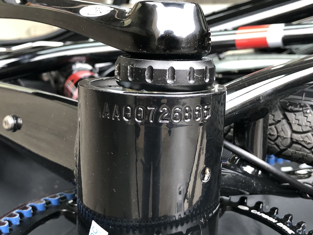 Stolen 2021 Montague Allston