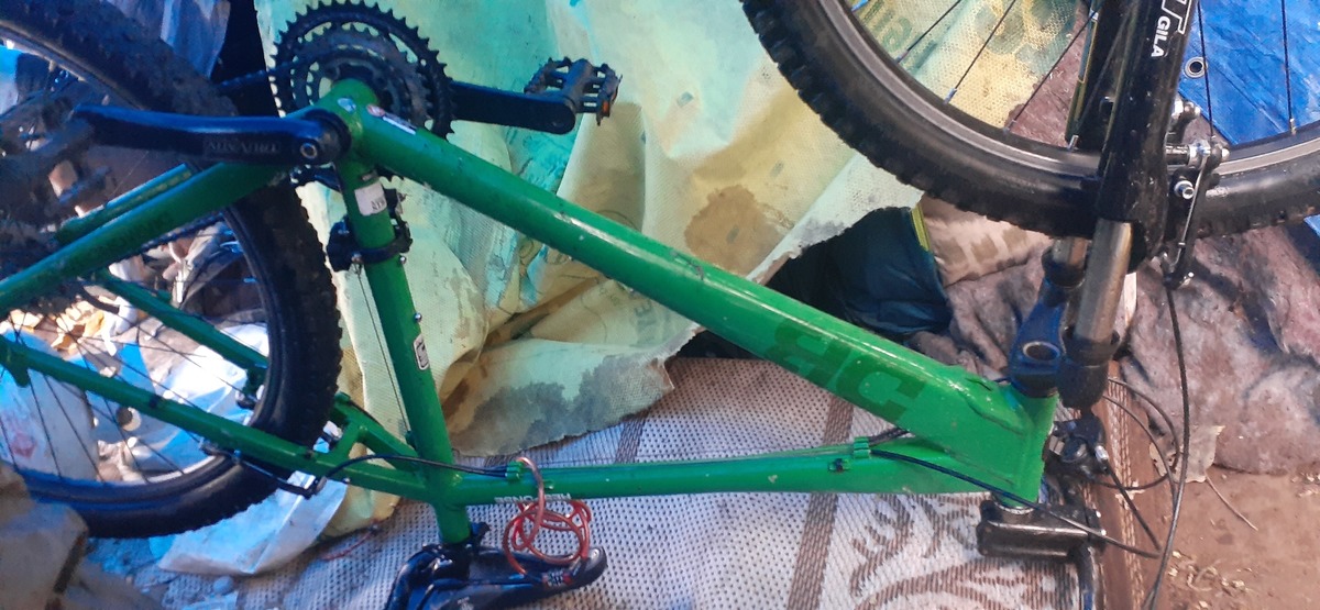 Diamondback Response