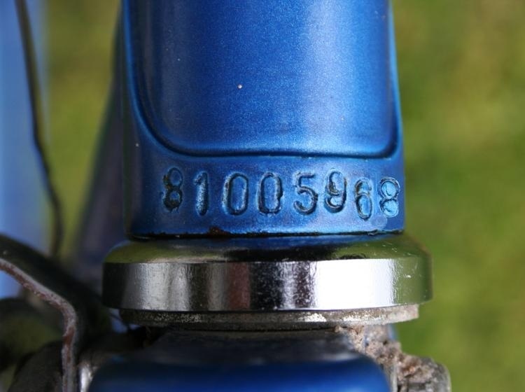 Panasonic 10 speed converted to single speed