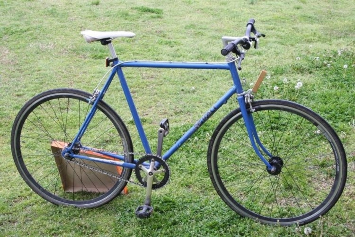 Panasonic 10 speed converted to single speed
