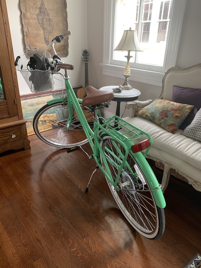 2021 Reid Cruiser/Townie