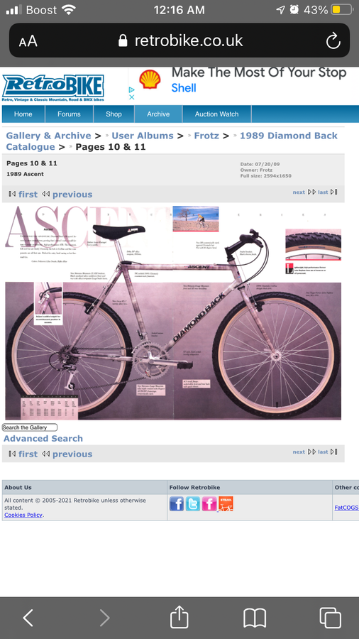 1989 Diamondback Ascent ex