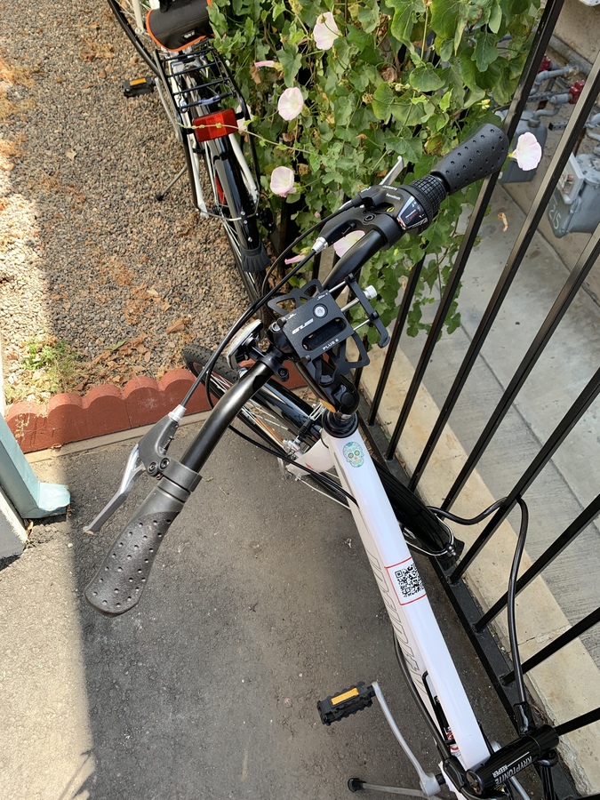 2021 Infinity Cycle Works Infinity Boss.three 7 Speed 700c Ladi...