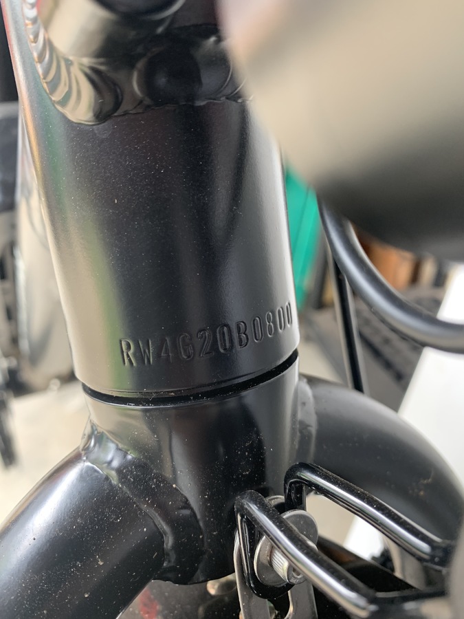 2020 Rad Power Bikes Rad Wagon