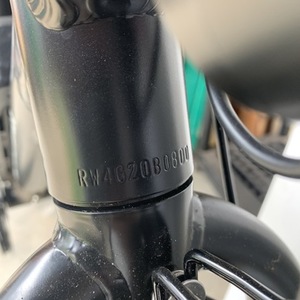 2020 Rad Power Bikes Rad Wagon