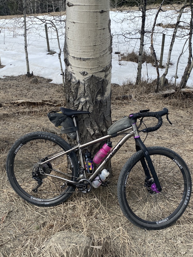 2019 Salsa Fargo Ti