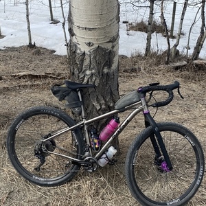 2019 Salsa Fargo Ti