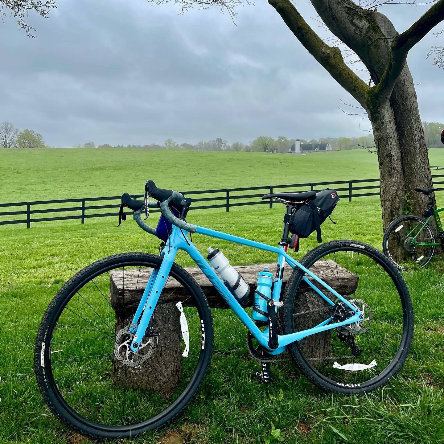 2020 Salsa Warbird Carbon Apex 1