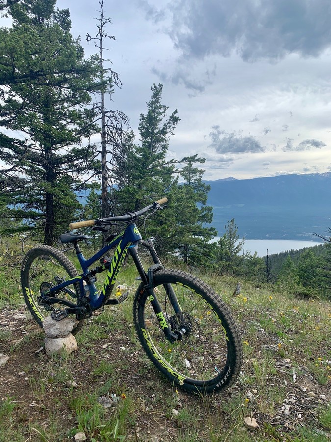 2019 Pivot Firebird 29