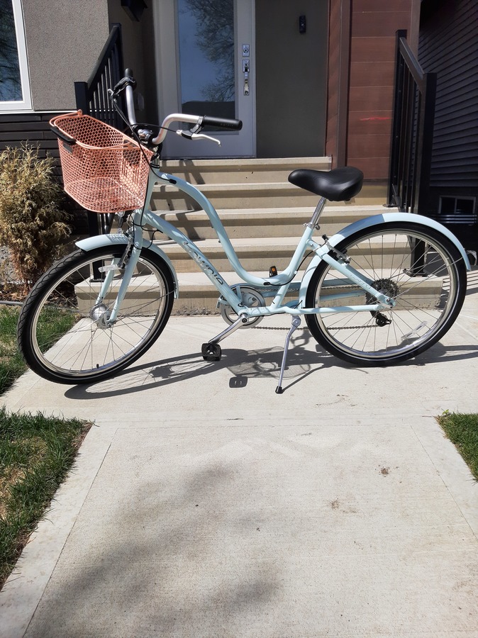 2021 Electra Townie 7D EQ step thru