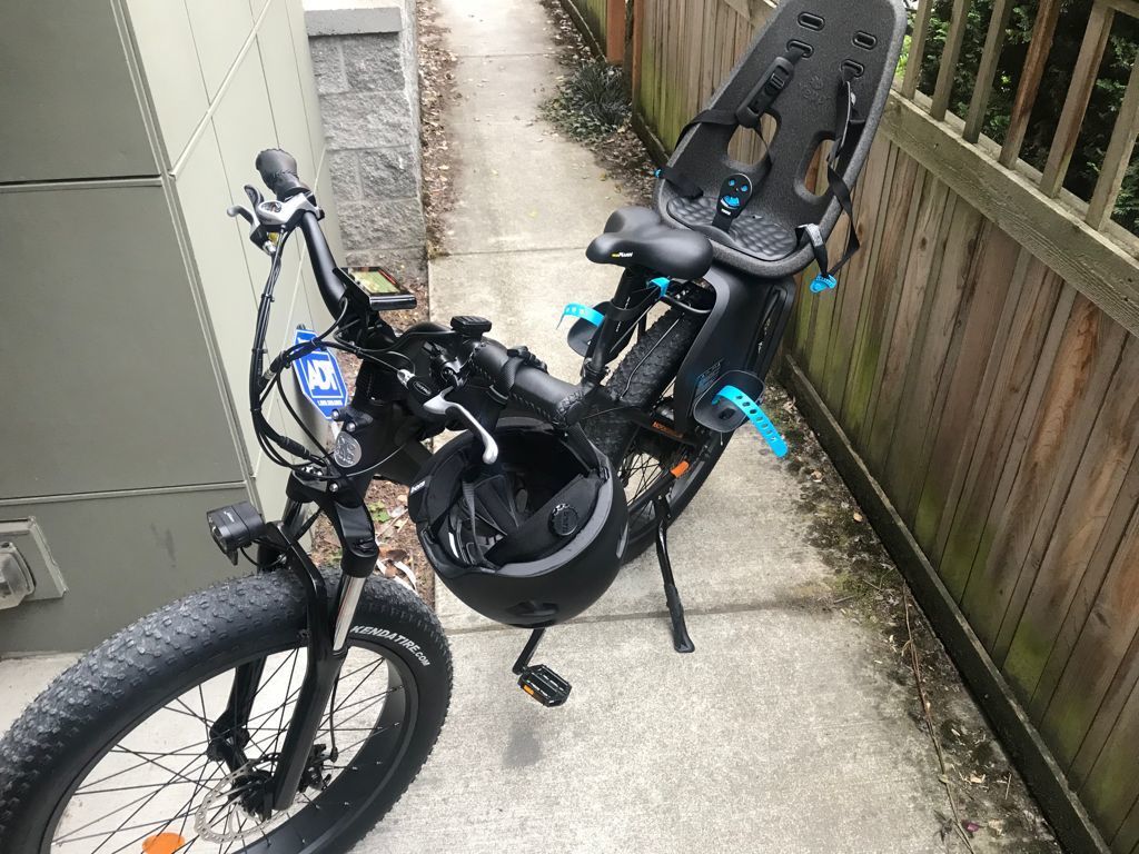 Stolen 2018 Rad Power Bikes RAD ROVER (Fat tire)