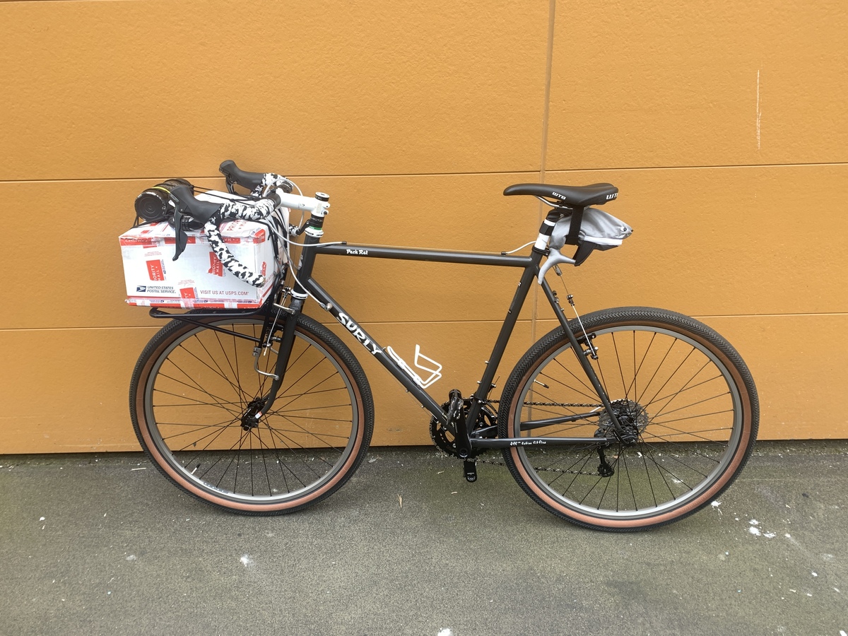 2019 Surly Pack Rat
