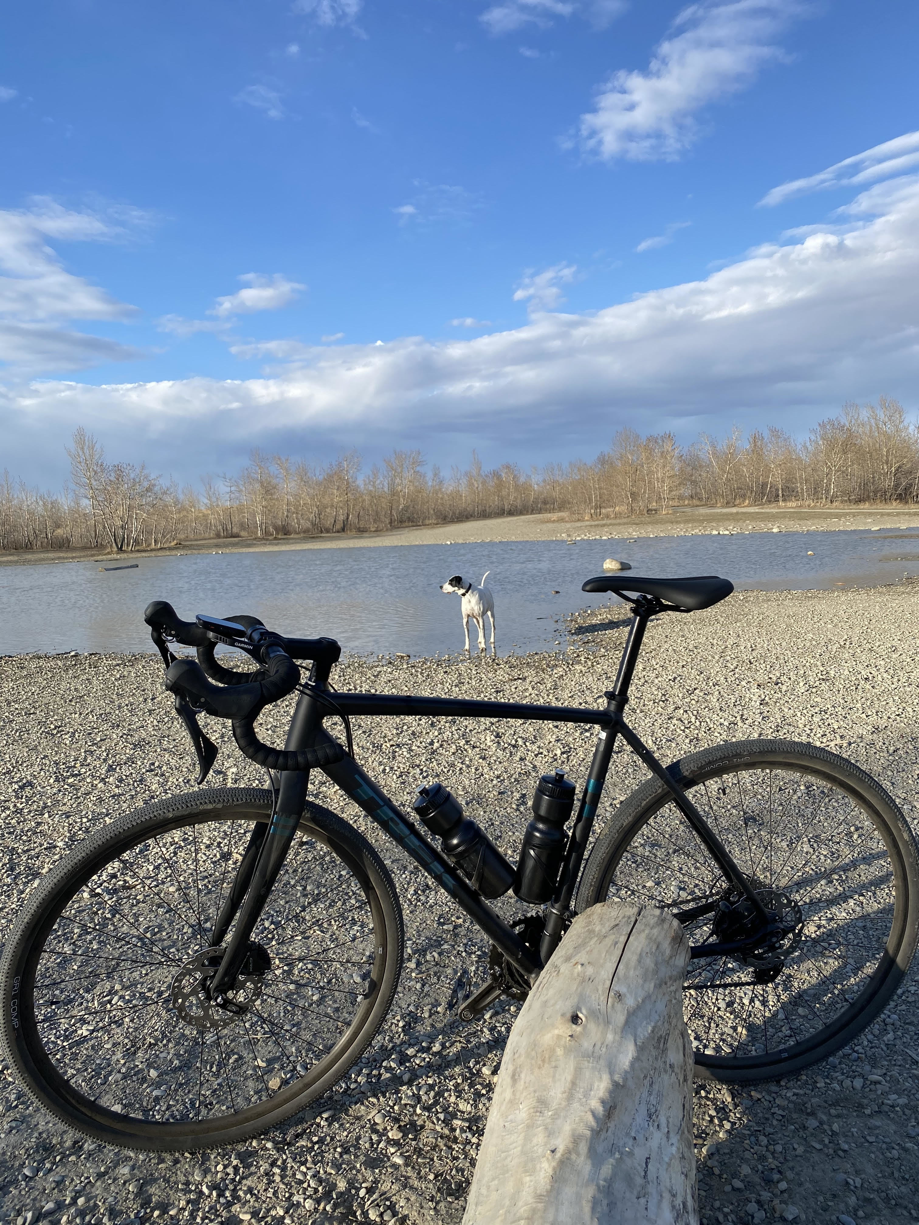 2021 Trek Checkpoint ALR 5