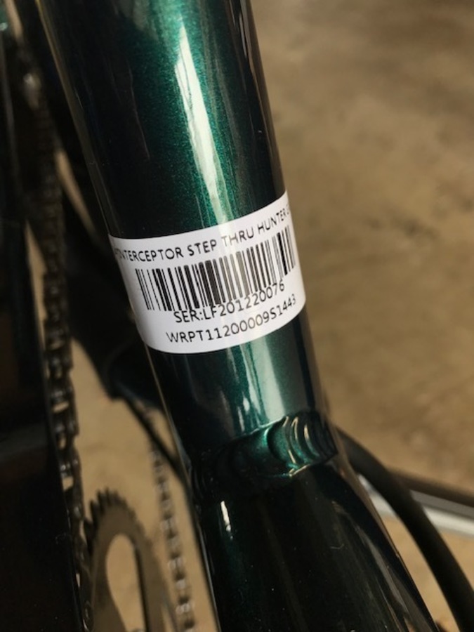 2021 Pedego Interceptor, 24"