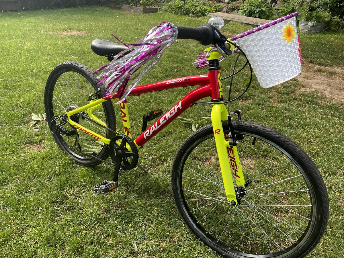 2018 Raleigh Cadent 24”