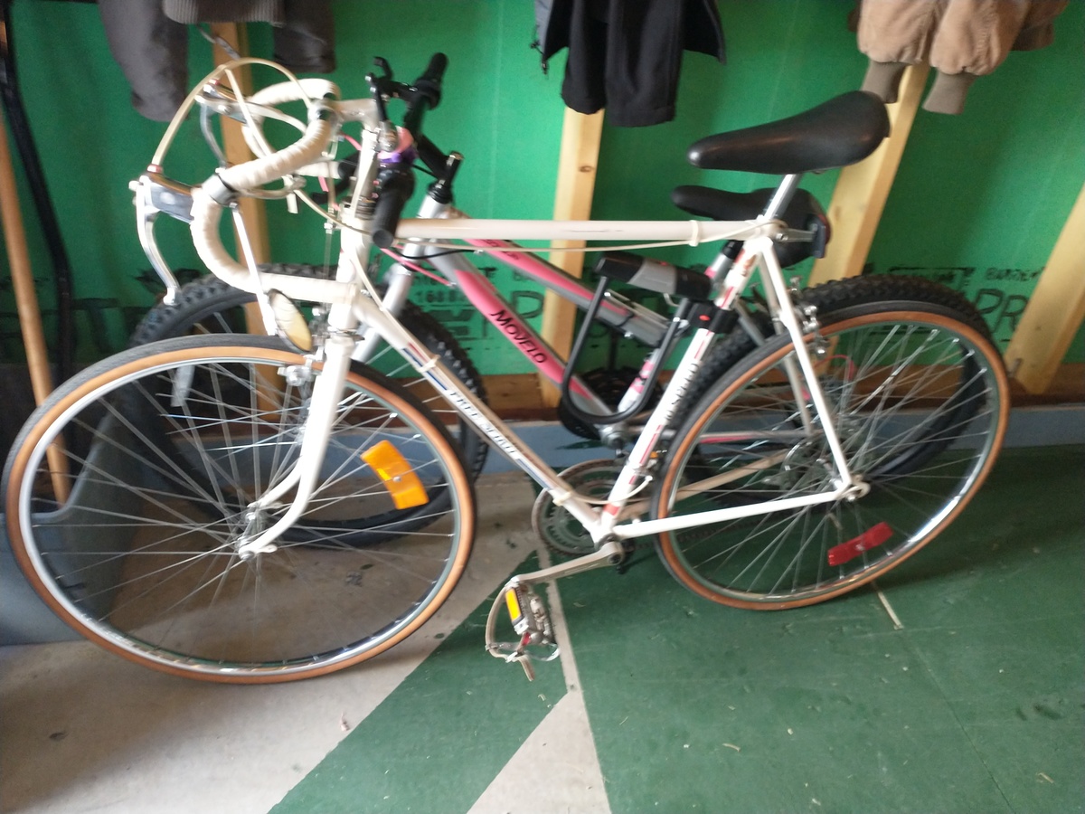 1970 Free Spirit Road Bike