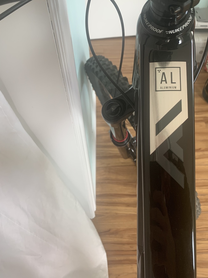 2021 Nukeproof Mega 290 Alloy Pro XXL