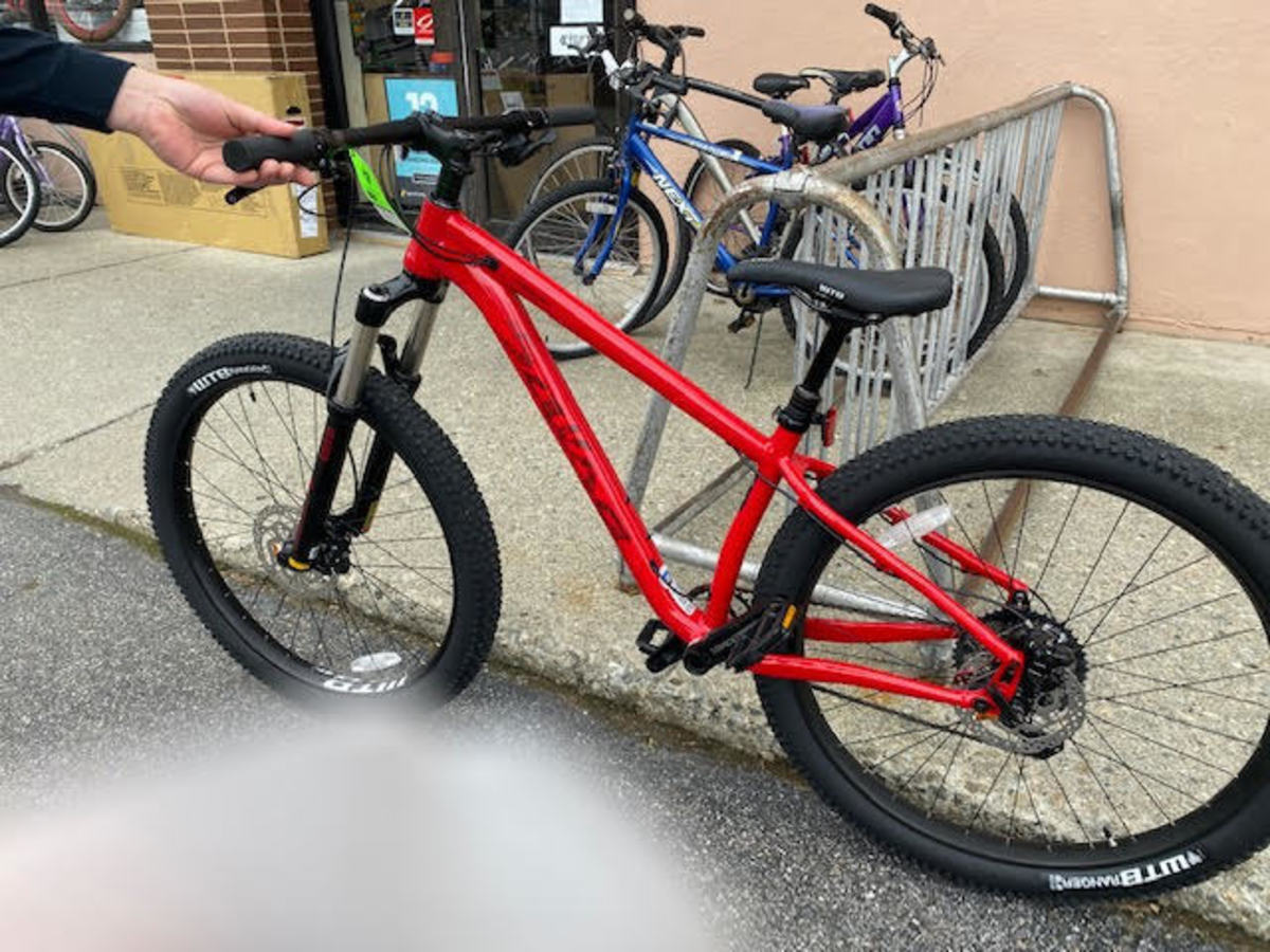 2020 Salsa timberjack