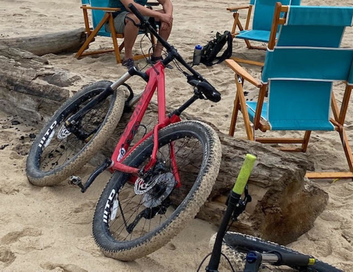 2020 Salsa timberjack
