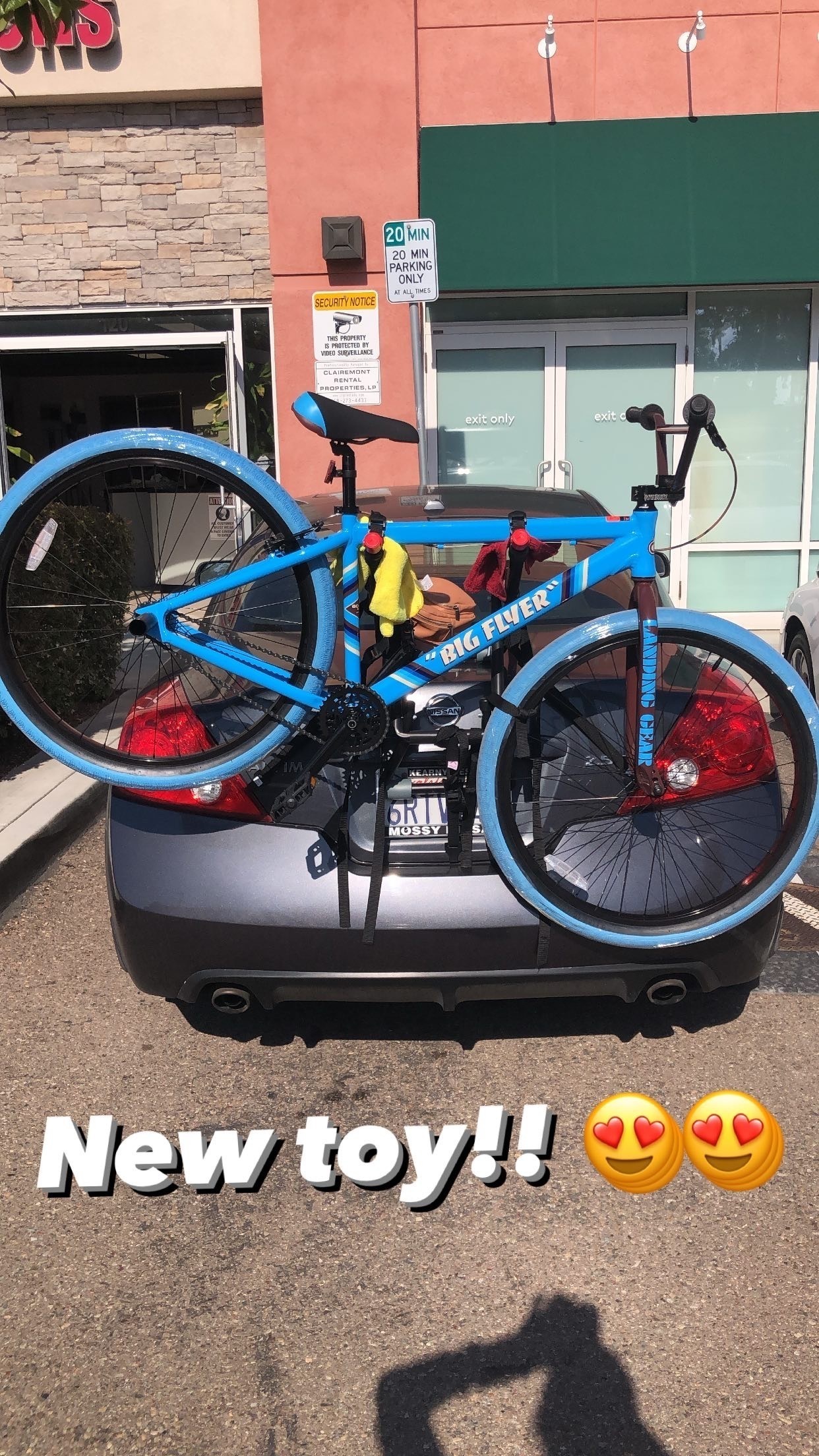 SE Bikes Big flyer 29”