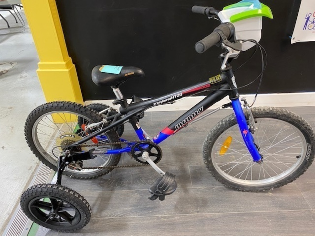 2021 Infinity Cycle Works Crazyhorse