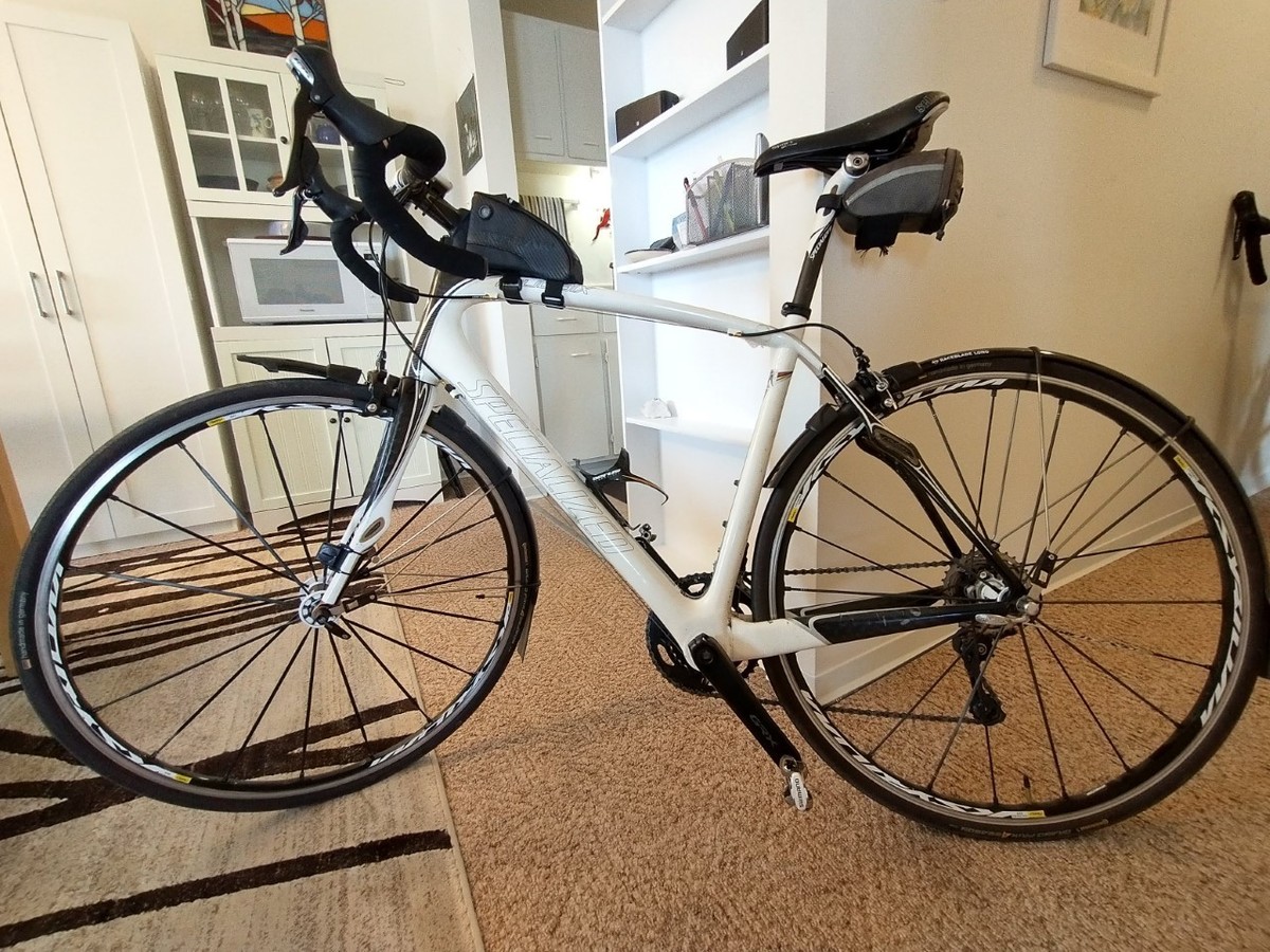 2010 Specialized Specialized Roubaix Expert