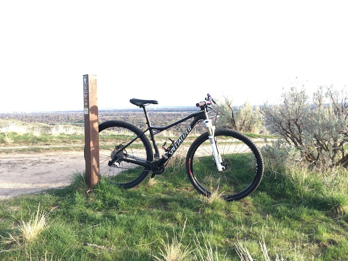 2012 Specialized Fate Comp Carbon 29