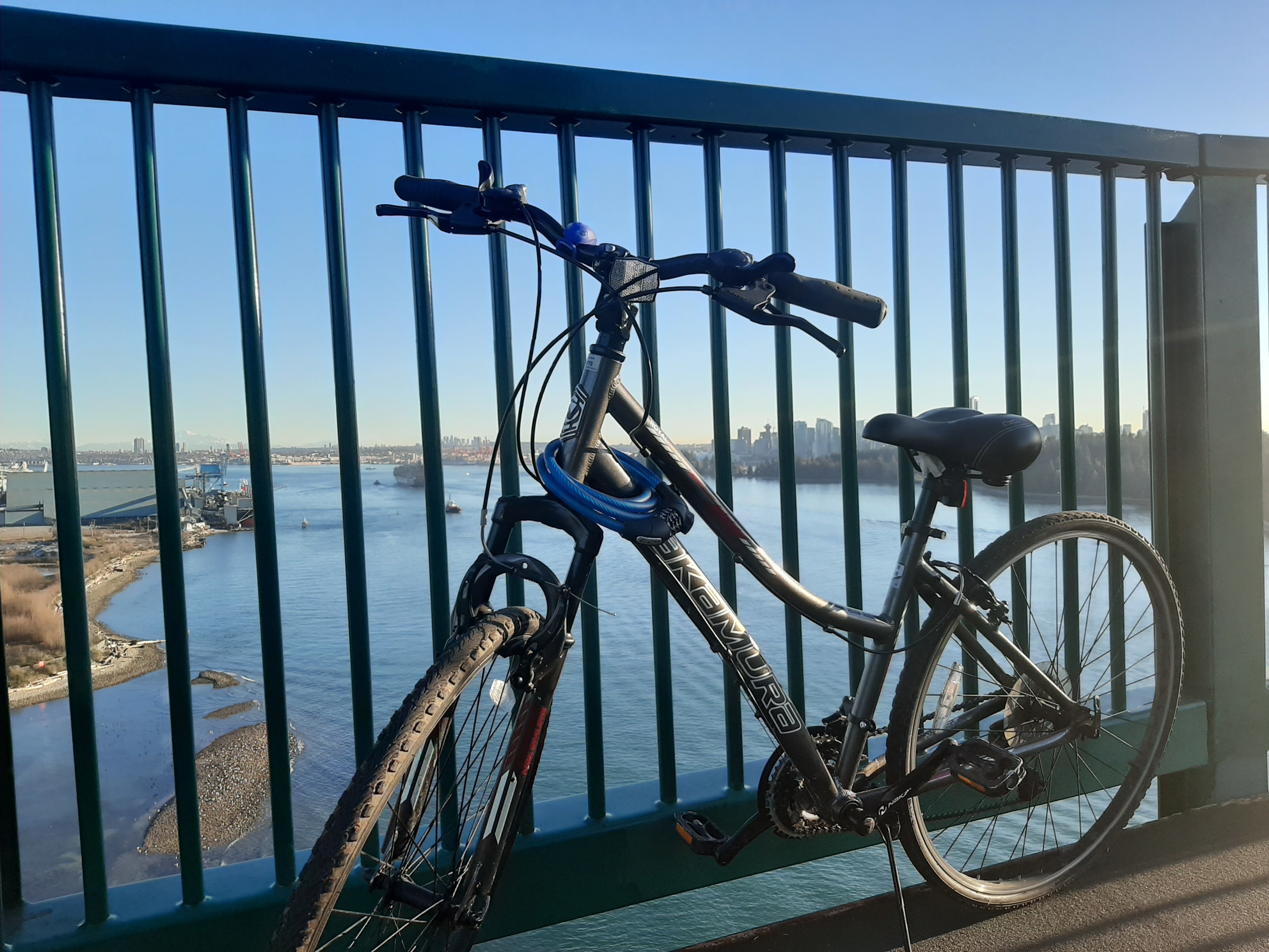 2019 Nakamura Royal Hybrid Women's