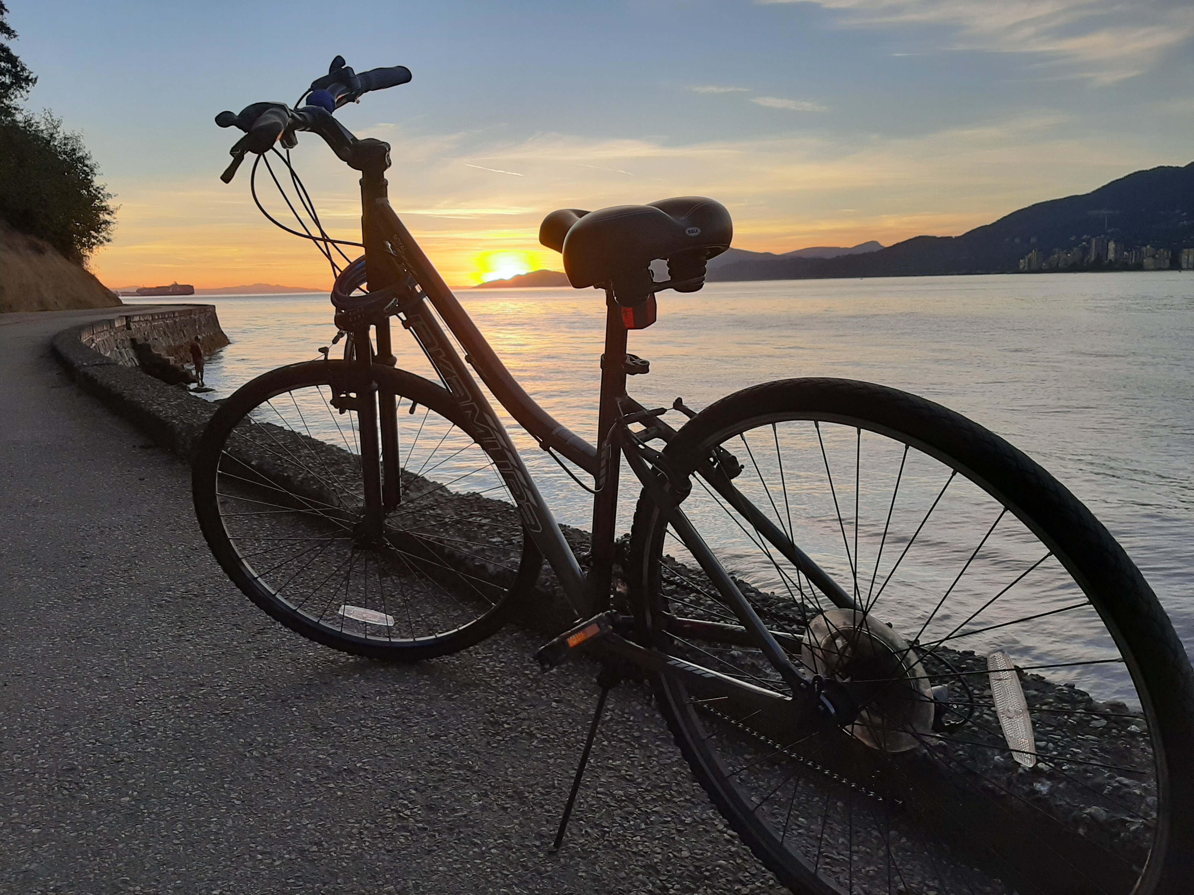 2019 Nakamura Royal Hybrid Women's