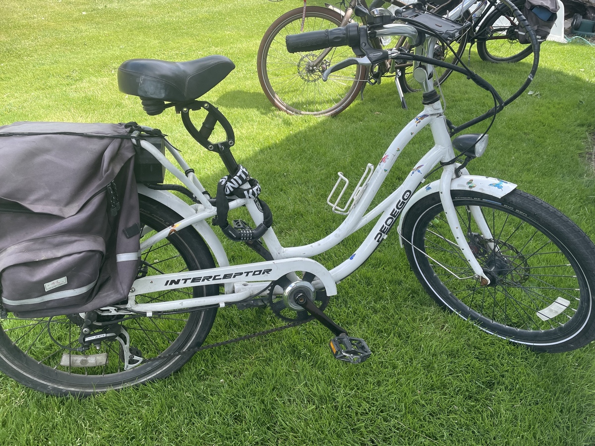 2016 Pedego Interceptor