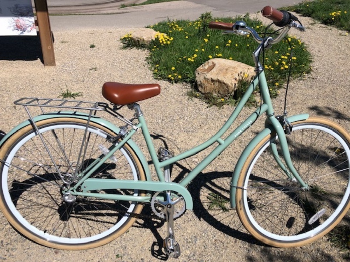 2017 Pure Cycles Pure City Step Through Bike - 3 Speed