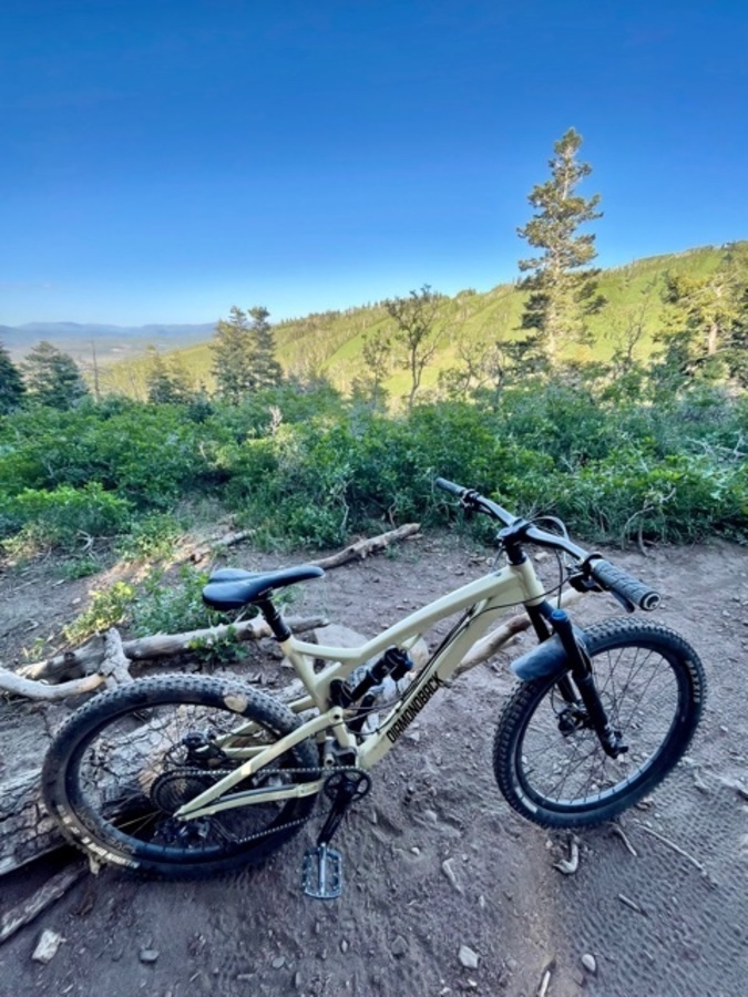 2019 Diamondback Release 3