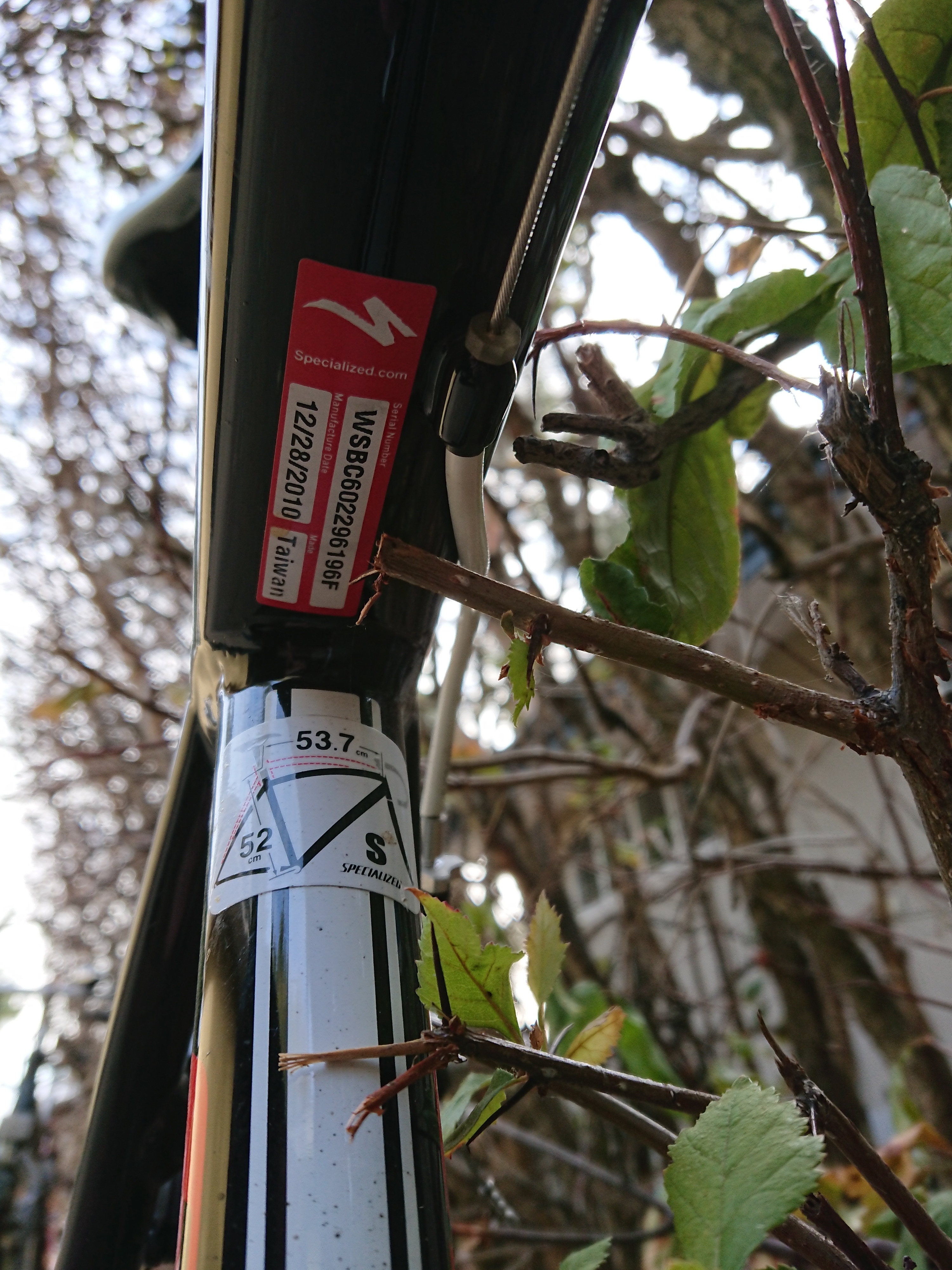 2011 Specialized Allez Comp Compact M2 Apex