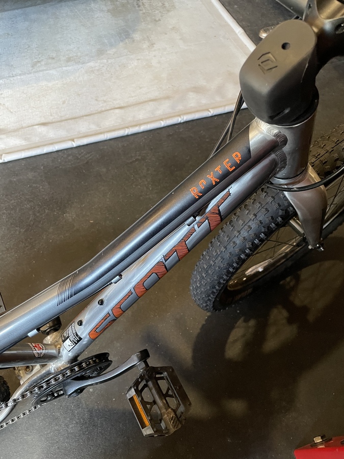 2021 SCOTT Roxter 20 Raw Alloy OneSize