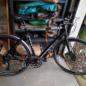 2015 Diamondback Haanjo Metro Plus
