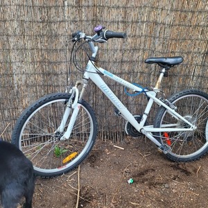 Stolen 2021 Infinity Cycle Works Fusion Crazy Horse Infinity - 24" wheel